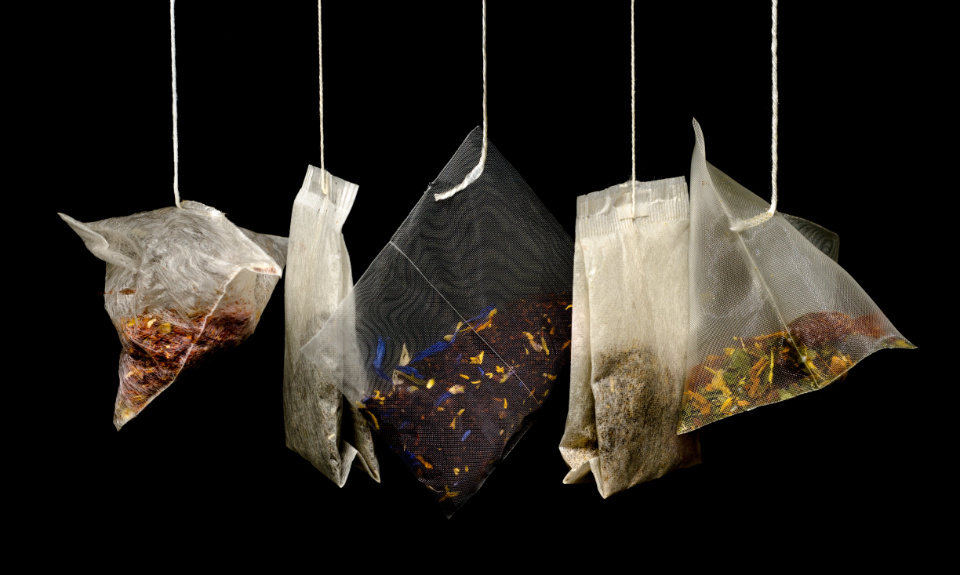 Ronald Dahl, Willy Wonka & Cheap Strumpets; The Longevity Game | The ...