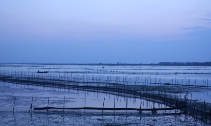 Warlord of Crabs Awaits in Suqian Luoma Lake | The Nanjinger