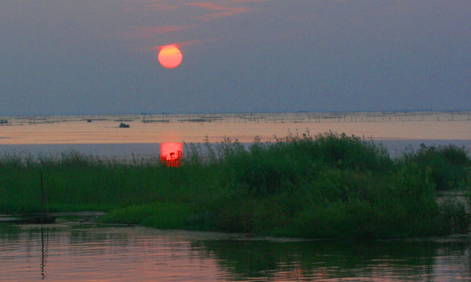 Warlord of Crabs Awaits in Suqian Luoma Lake | The Nanjinger
