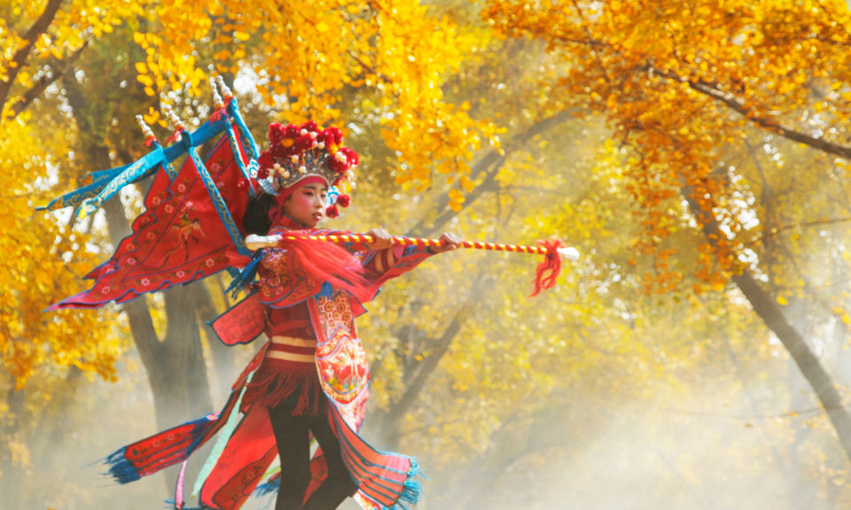 The Magical Properties of the Indestructible Golden Ginkgo | The Nanjinger